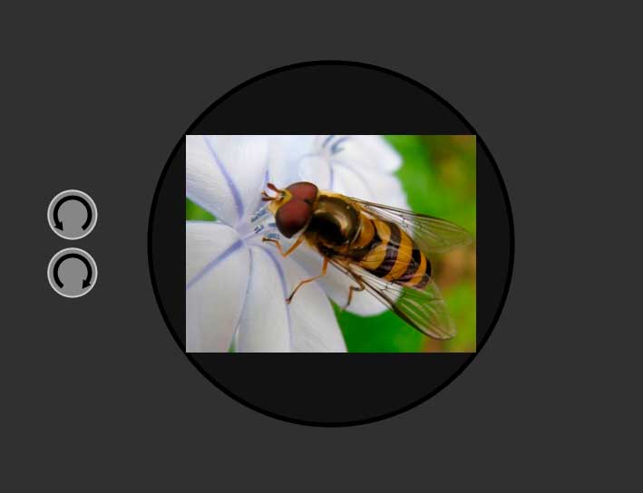 Como hacer gráficos vectoriales con javascript con Raphael